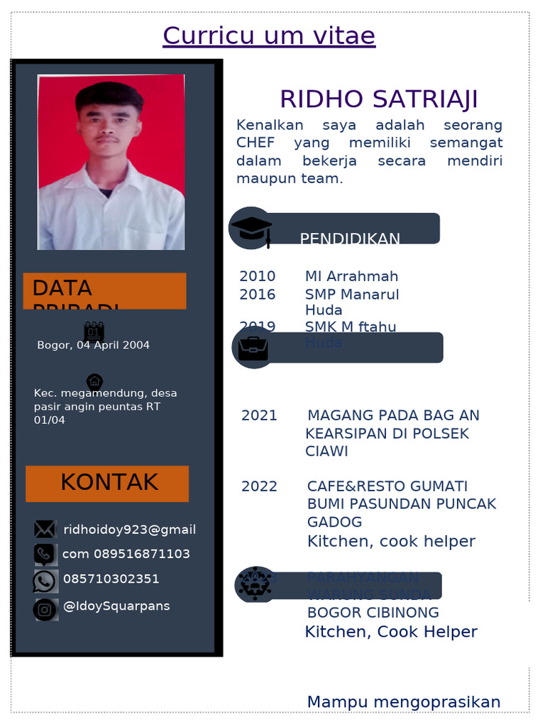 cv ridho | PDF