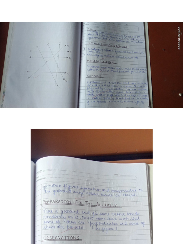 Practical Class 12 | PDF