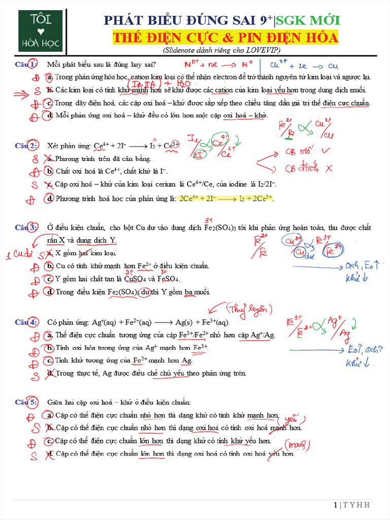 Phat Bieu Dung Sai The Dien Cuc Va Pin Dien Hoa | PDF