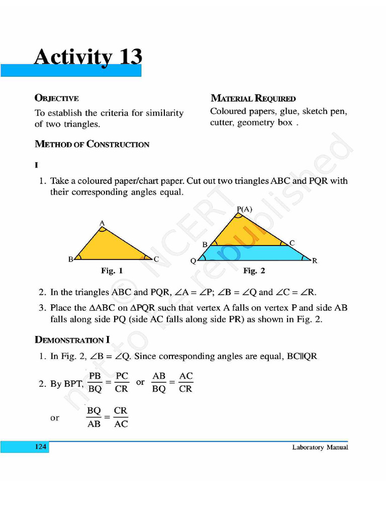 ACE Scanner_2024_11_22 | PDF
