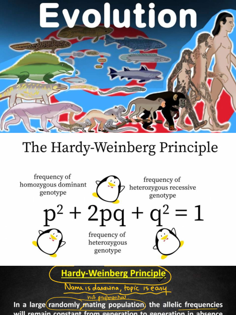 EVOLUTION (PART-7)._compressed | PDF