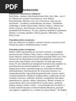 Renesans - Narodziny Nowej Epoki | PDF