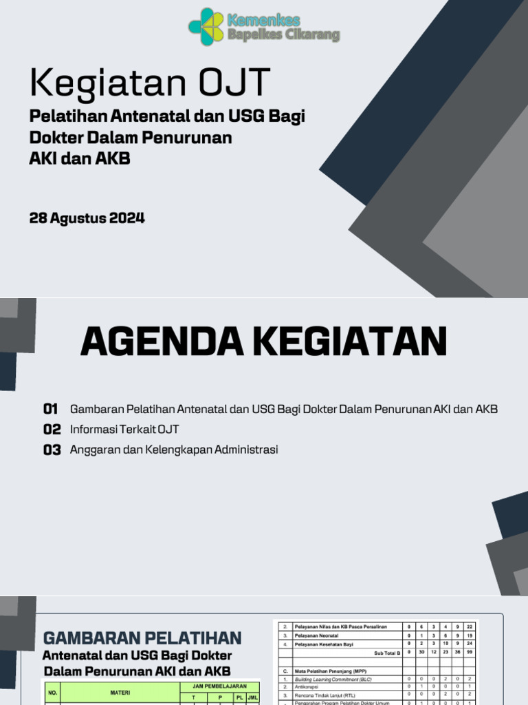 Bahan OJT Pelatihan USG. 28082024 13.30 WIB | PDF