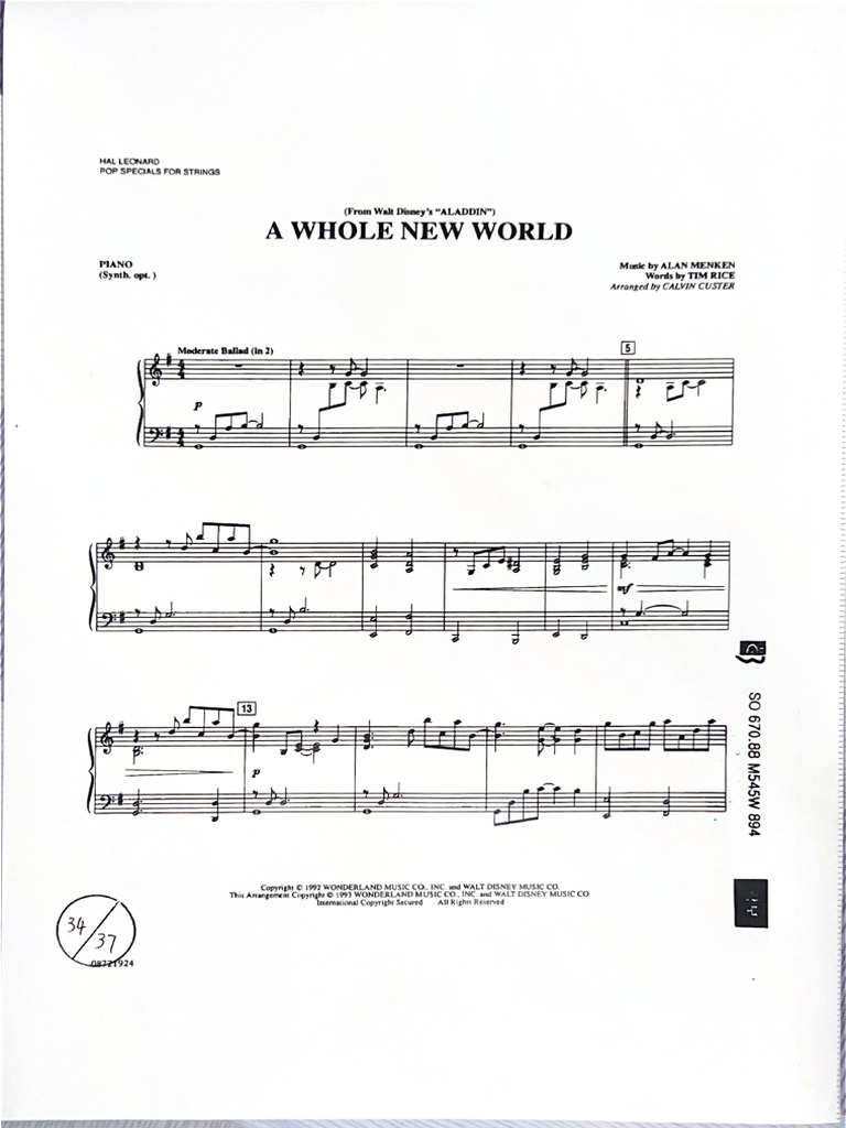 A Whole New World | PDF