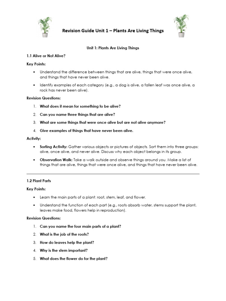 Plants: Living Things Revision Guide | PDF | Plants | Water