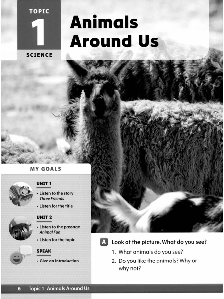 Topic 1 Animals Khôi | PDF