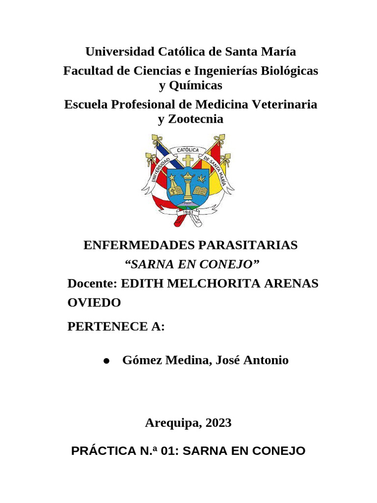 Sarna en Conejos: Diagnóstico y Tratamiento | PDF | Medicina CLINICA ...