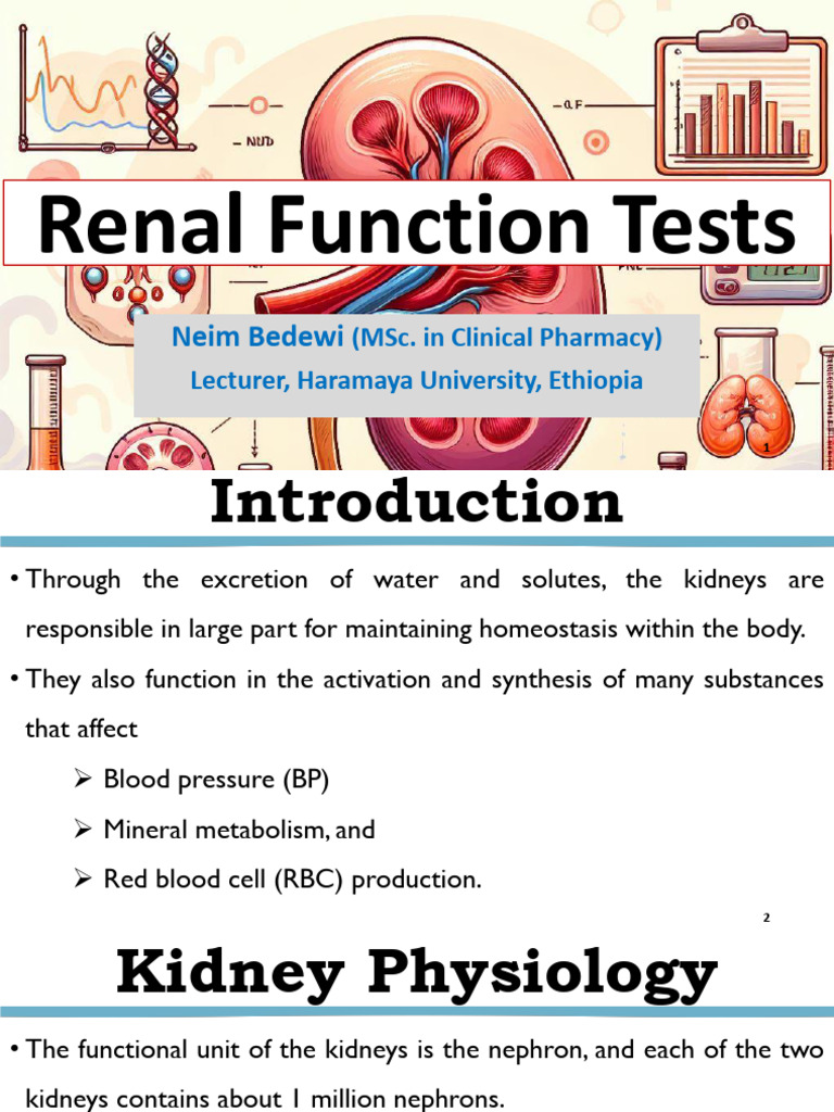 Therapy - 1 Lab Test Interpretation | PDF | Kidney | Creatinine