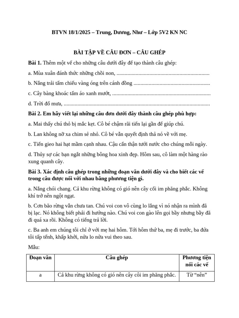 BTVN 18.1.2025 - L P 5V2 KN NC | PDF