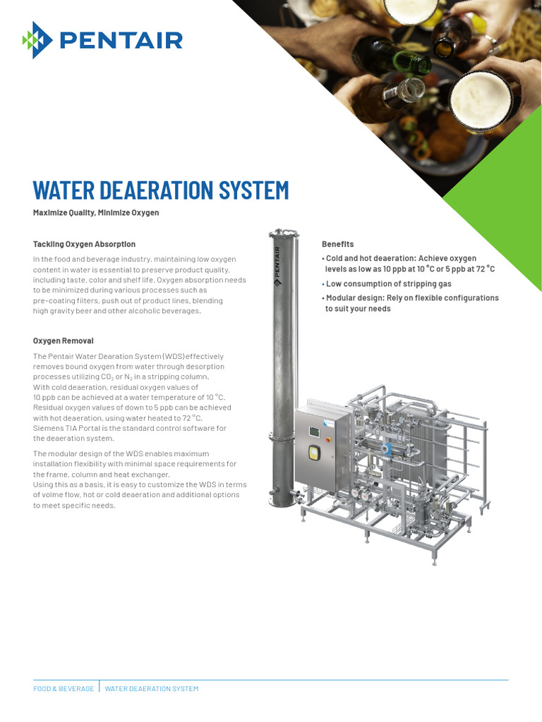 P Ss Water Deaeration System 11324 en | PDF | Water | Oxygen