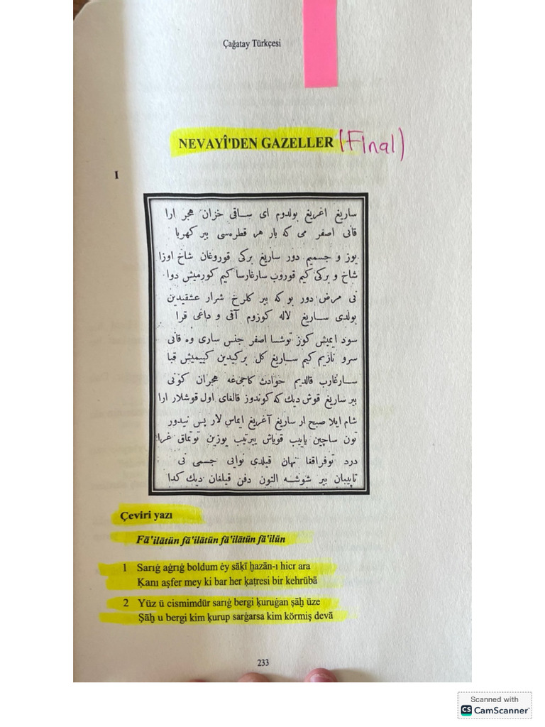 Ali Şir Nevayî-Gazel | PDF