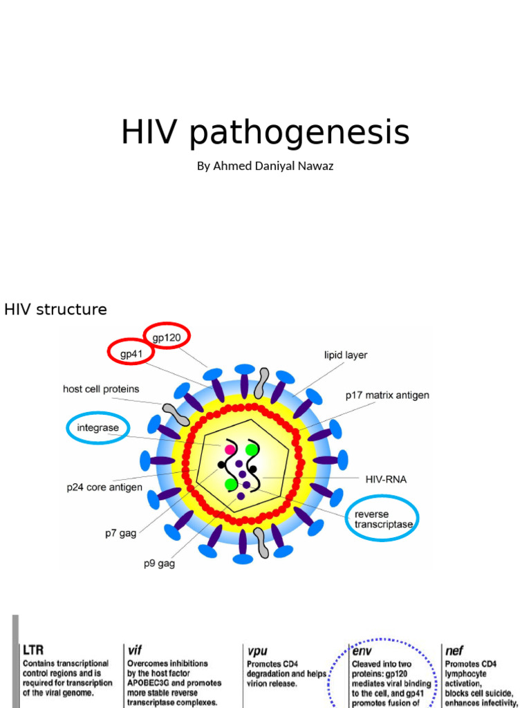 HIV Pathogenesis | PDF