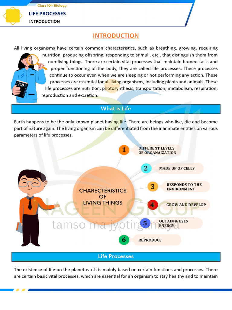 Class 10 Science Chapterwise Topicwise Notes CHAPTER-5 LIFE PROCESSES ...
