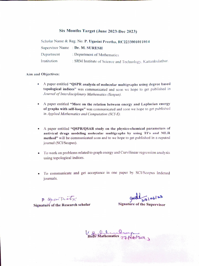 Last six month plan report | PDF