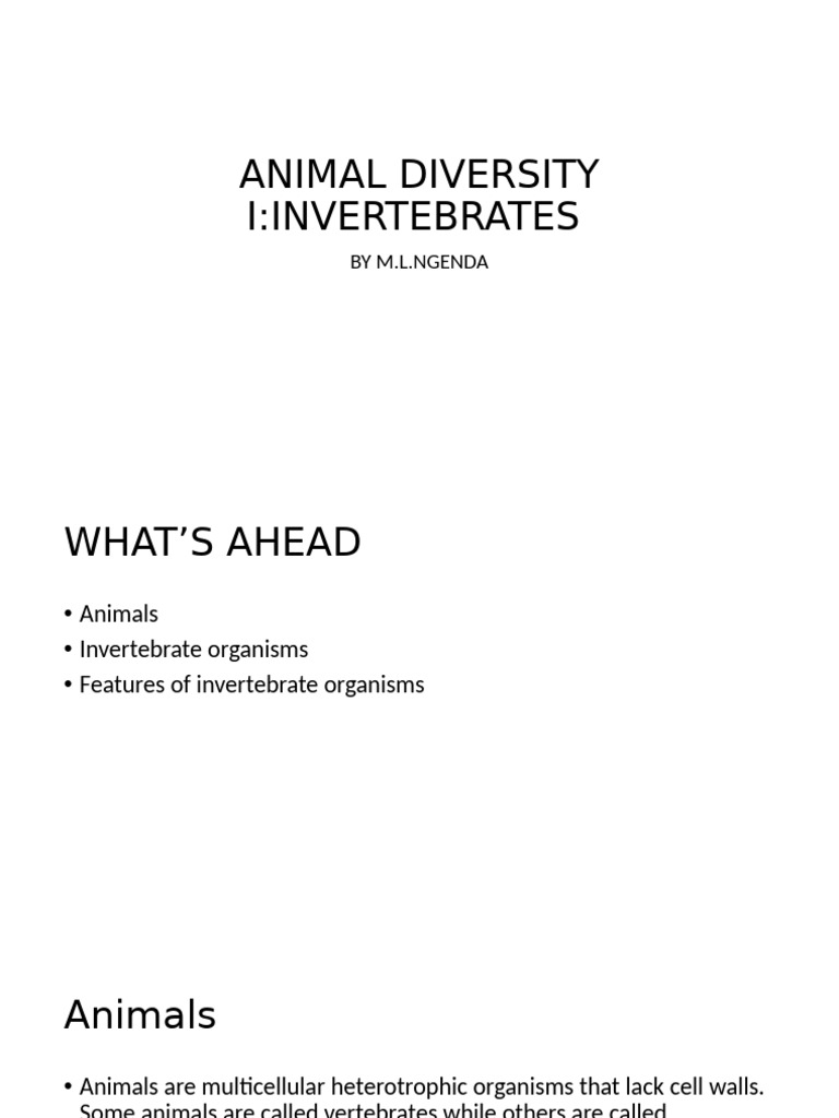 Invertebrate Animal Diversity Overview | PDF | Invertebrate | Insects