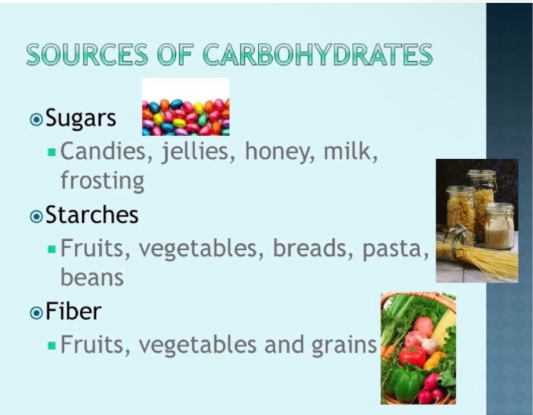Samrin Kaur Class 9E Roll No. 27 | PDF