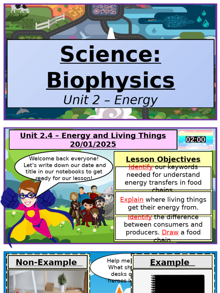 G3 2.4 Energy and Living Things | PDF | Predation | Frog