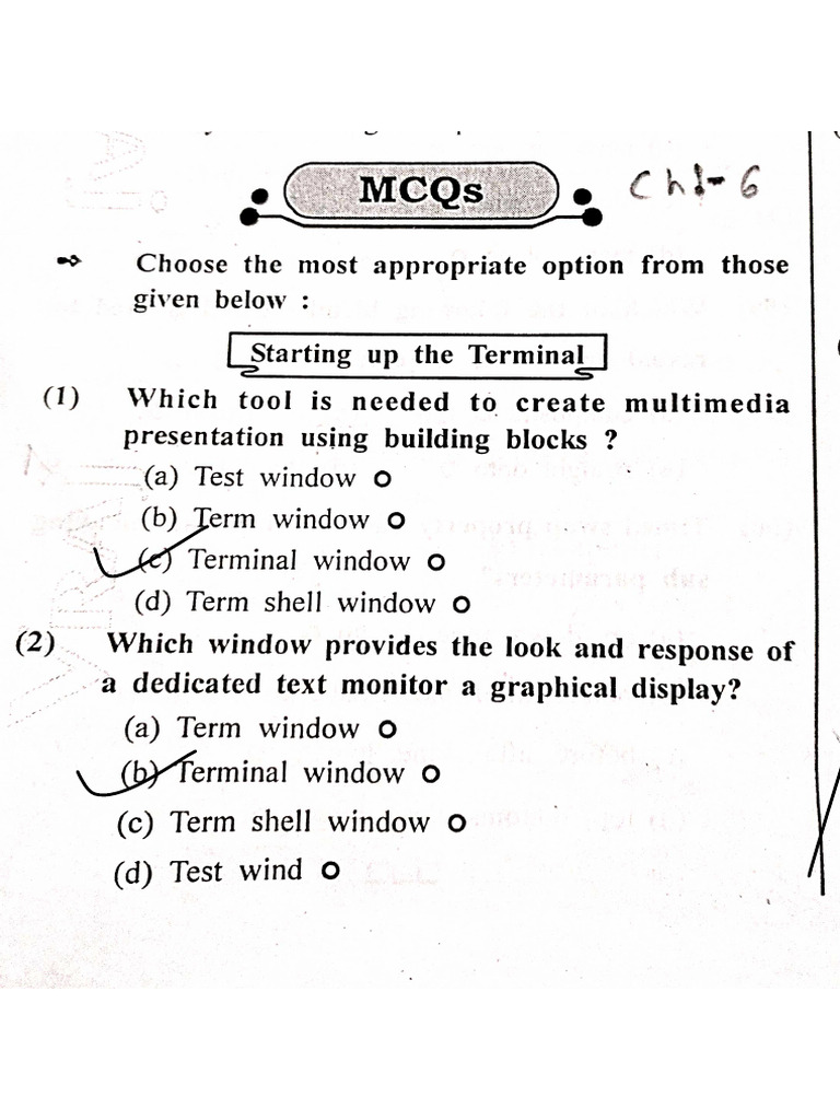 Std-11 Sci - Commerce Sub - Computer Second Term MCQ PDF | PDF