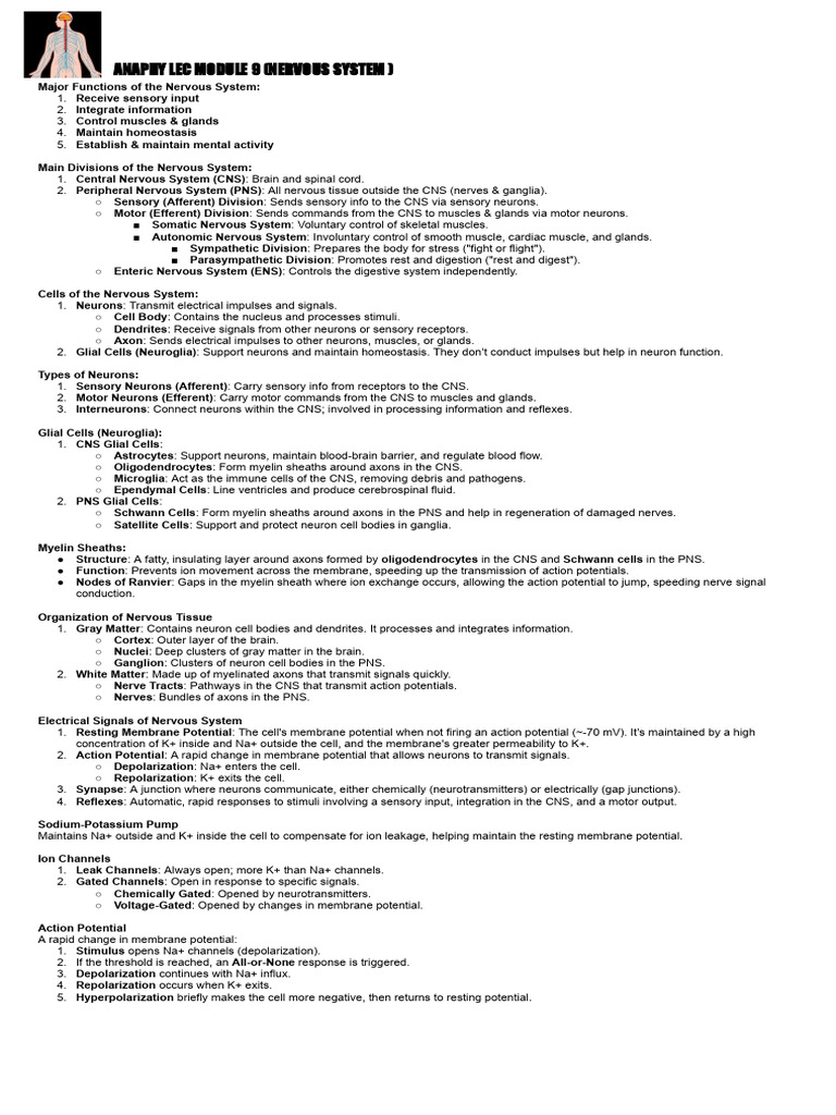 Anaphy Lec Module 9 (Nervous System) | PDF | Chemical Synapse | Nervous ...