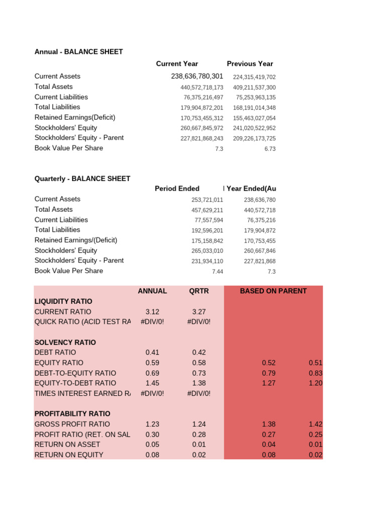 SAN MIG_financial Statement | PDF | Equity (Finance) | Dividend
