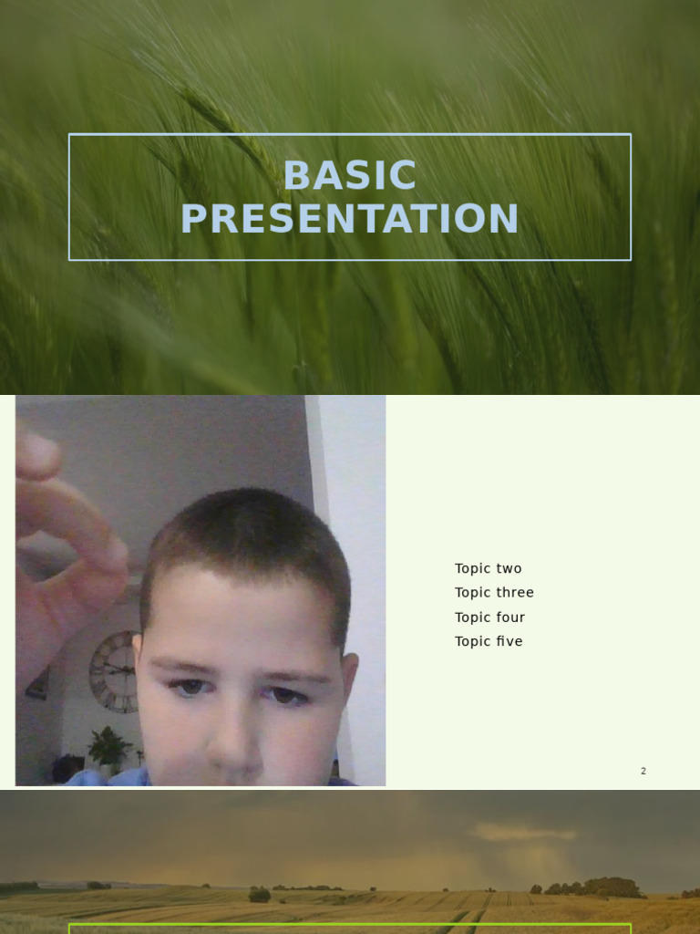 BASIC PRESENTATION | PDF
