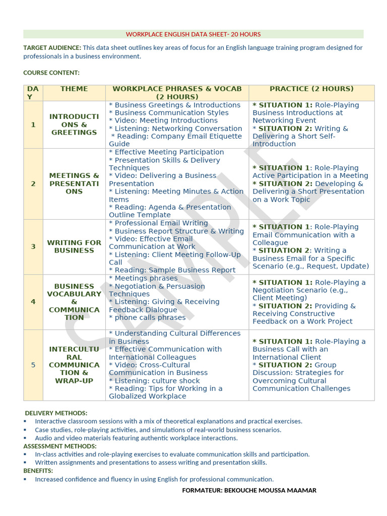Workplace English Data Sheet | PDF | Communication | Human Communication