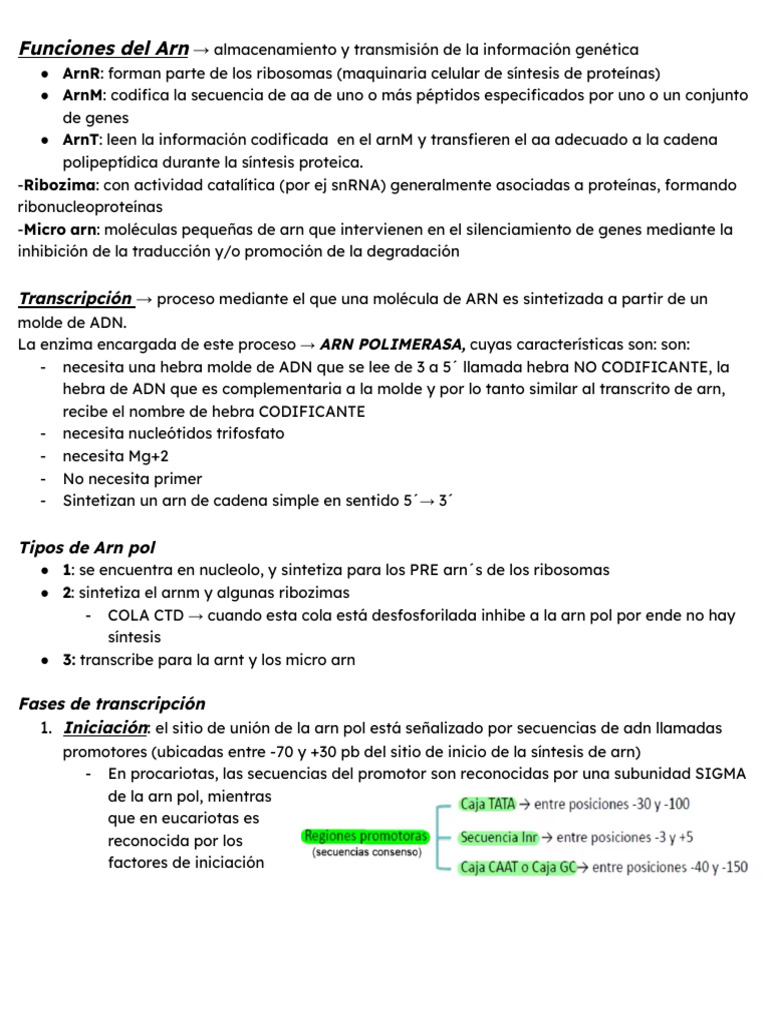 Metabolismo Del ARn | PDF | Rna | Rna Splicing