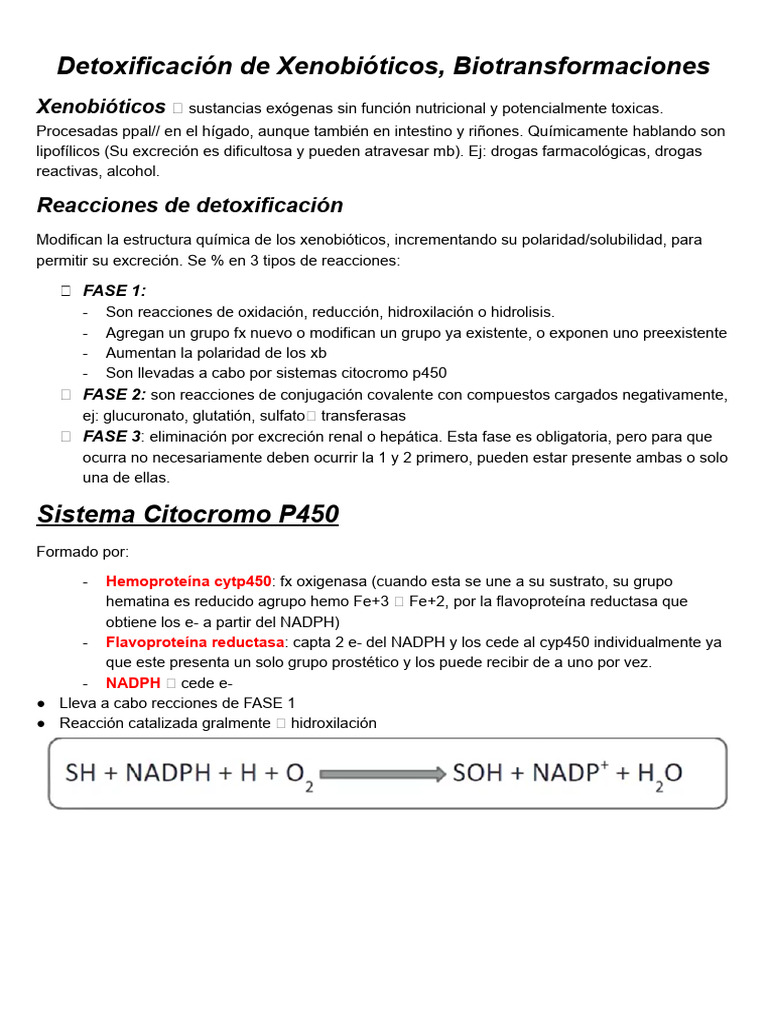 Detoxificación de Xenobióticos | PDF | Glutatión | Metabolismo