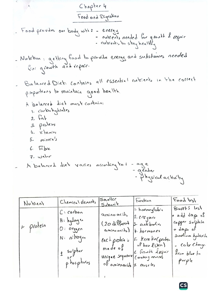 Biology Ch.4 Notes | PDF