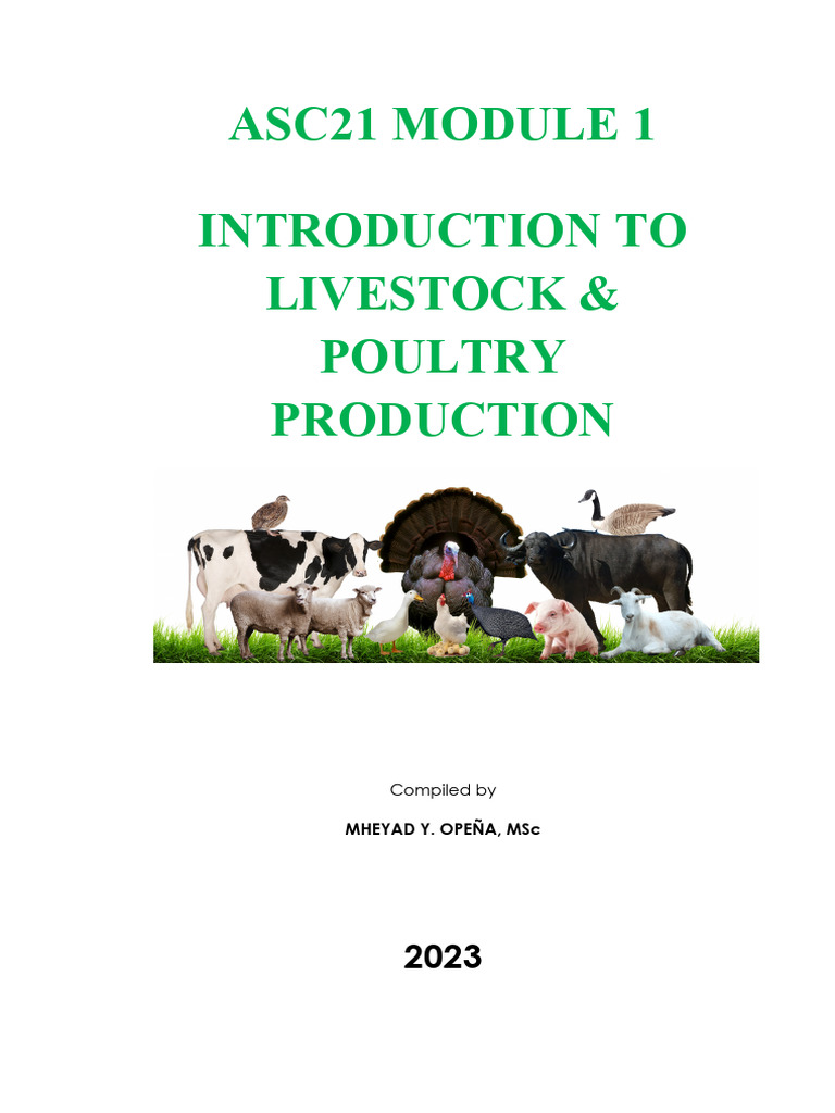 Poultry-Production 241210 123424 | PDF | Poultry | Chicken