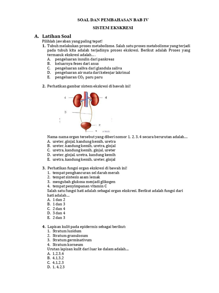 Proses dan Soal Sistem Ekskresi | PDF