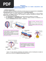 Formação e Diferenciação dos Somitos | PDF | Pele | Músculo