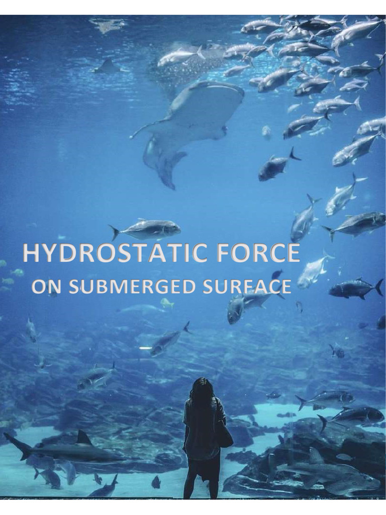 Solution Manual Hydrostatic Force On Plane Surfaces | PDF