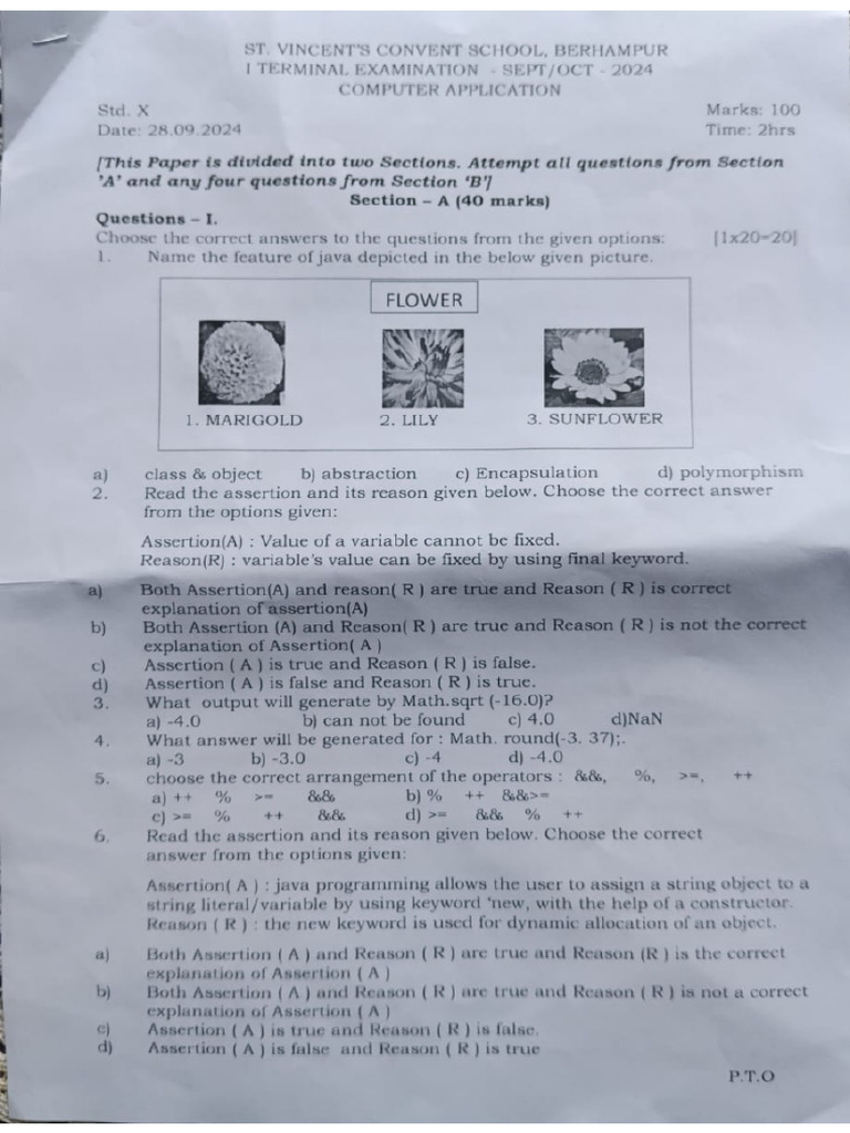 Computer Question Paper | PDF