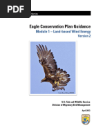 Usfws-R6-Eagle-Nest-Survey Protocol-Recommendations-Wind-Energy ...