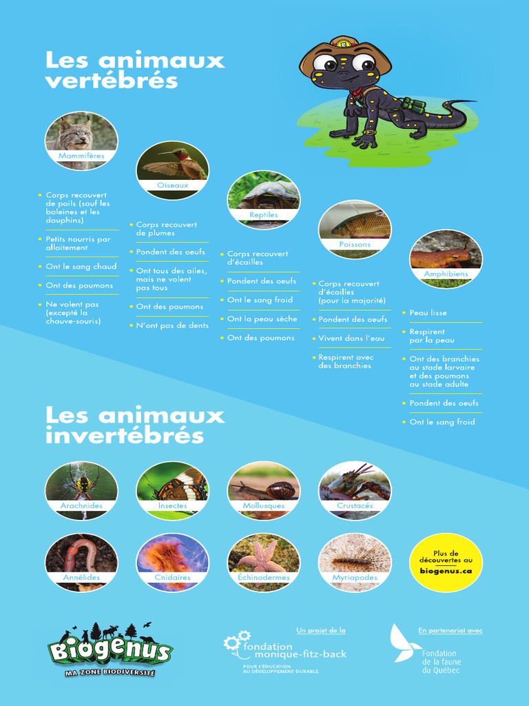 Animaux - Vertébrés - Et-Invertebres | PDF