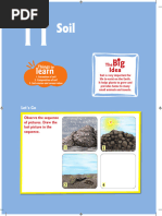 Understanding Soil: Formation and Importance | PDF | Soil | Plants