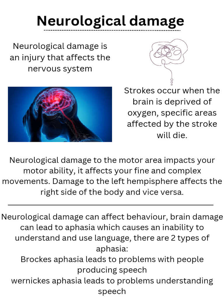 Understanding Neurological Damage Effects | PDF