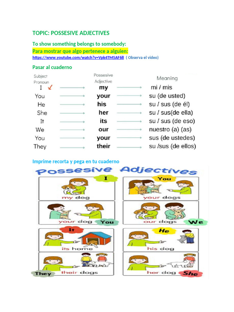 Adjetivos Posesivos: Ejercicios Prácticos | PDF
