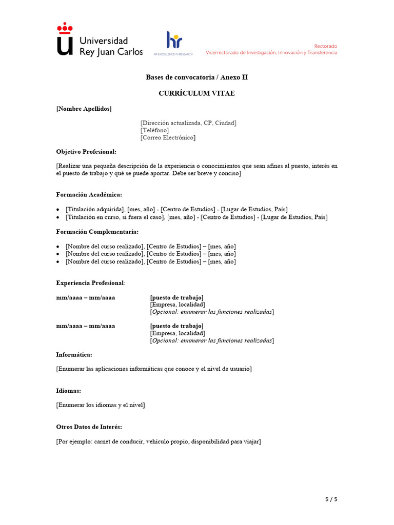 Anexo Modelo Normalizado de Curriculum Vitae | PDF