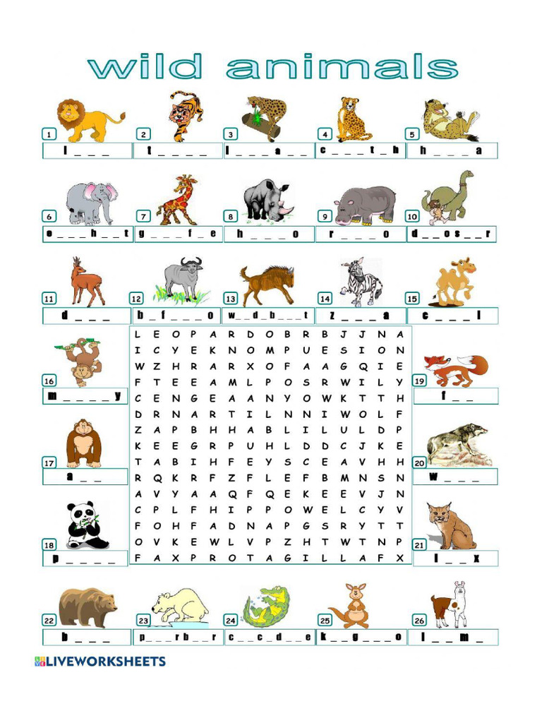 Animals Vocabulary | PDF