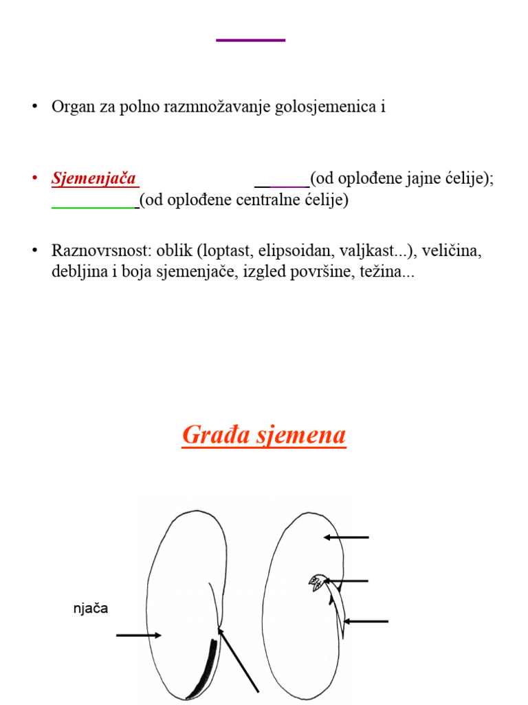 Fiziologija Sjemena | PDF