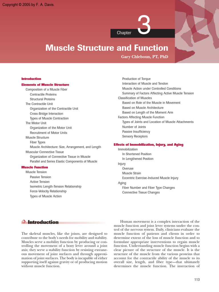 Cynthia Norkins Joint Structure & Function-A Comprehensive Analysis-134-143 | PDF | Muscle ...