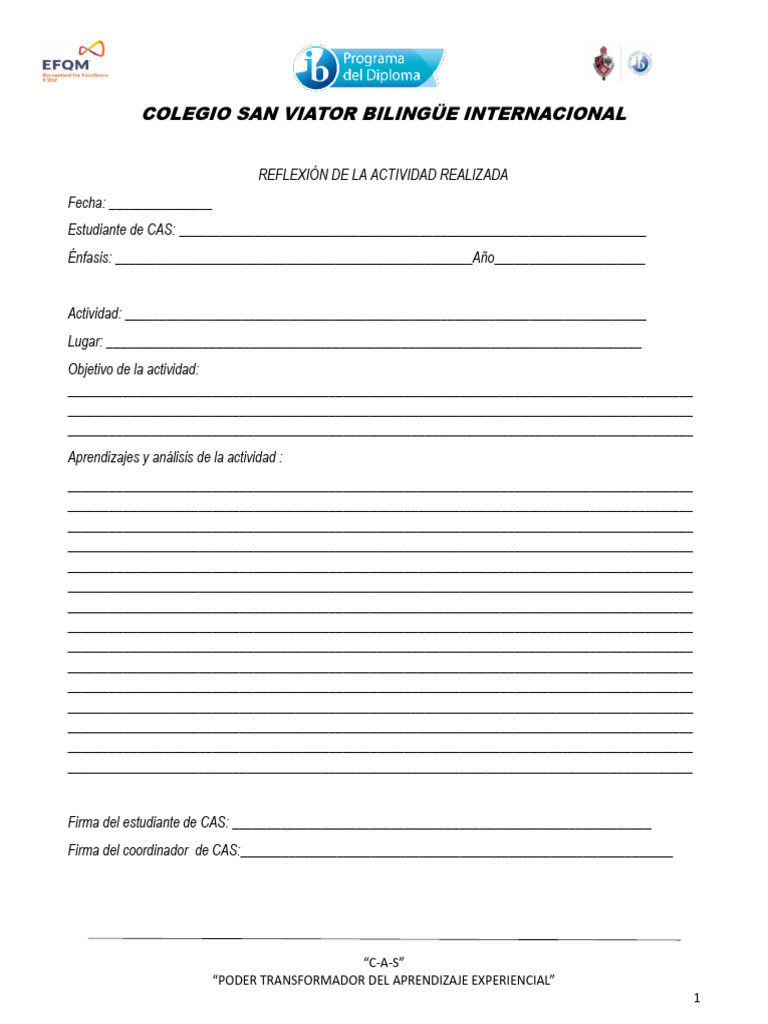 Formato Reflexiones Cas Final | PDF | Aprendizaje | Enseñando