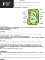 Plant Cell - Structure, Parts, Functions, Labeled Diagram | PDF | Cell (Biology) | Chloroplast