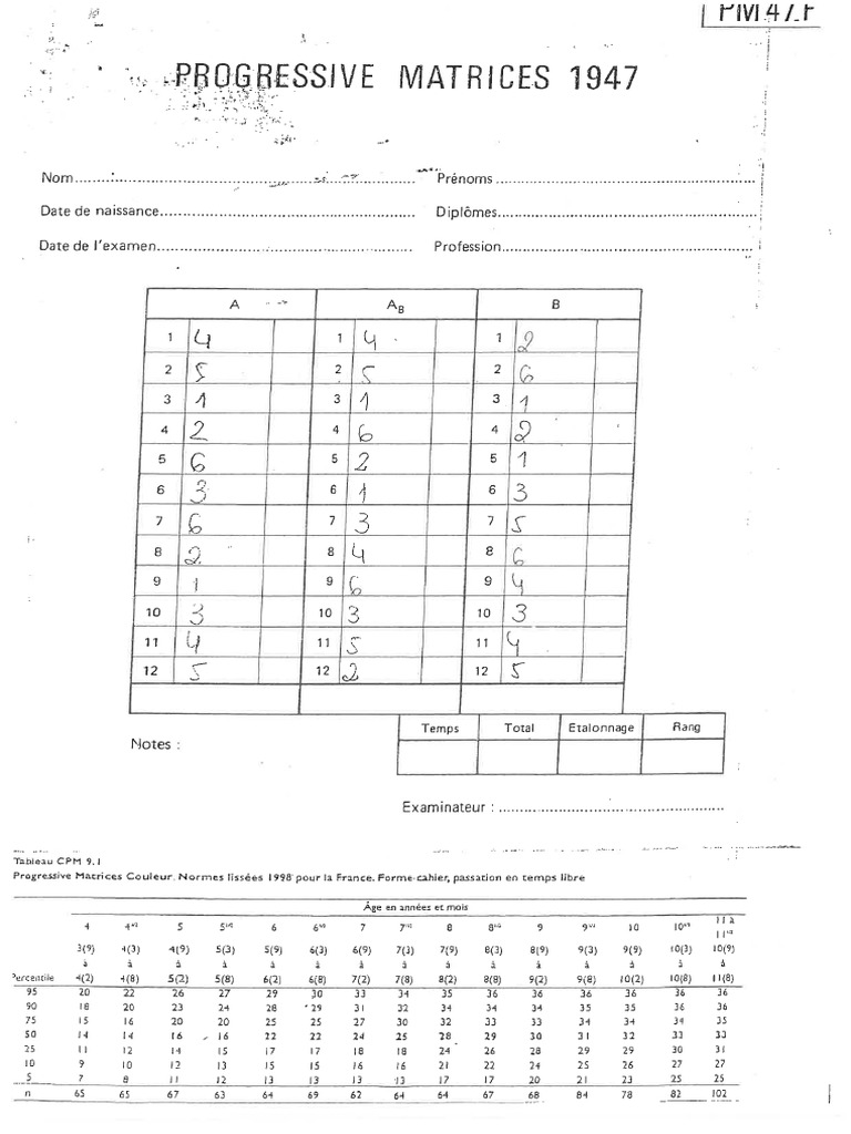 Feuille de Cotation Et Consignes Raven | PDF