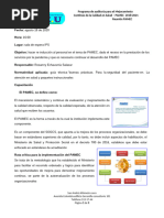 Instructivo Formato ST002 PAMEC | PDF