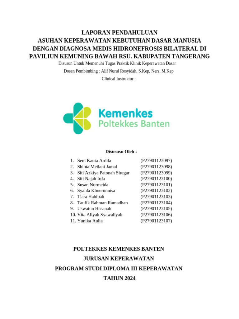 LP Hidronefrosis Kel 9 | PDF