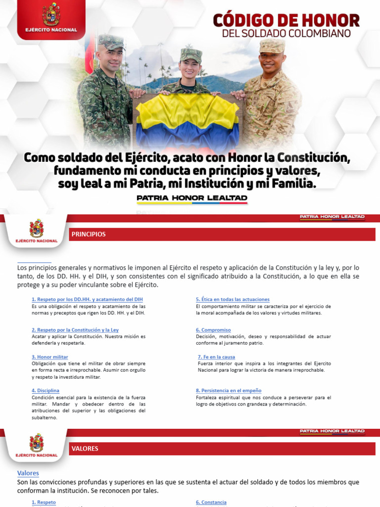 Lineamientos Del Comandante Del Ejército | PDF