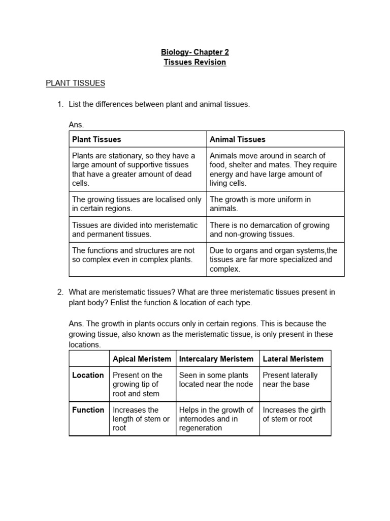 Biology - Chapter 2 (Tissues) Class IX | PDF | Epithelium | Tissue (Biology)
